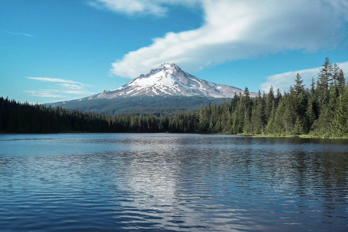 Send a Demand Letter in Oregon — Step-by-Step Guide